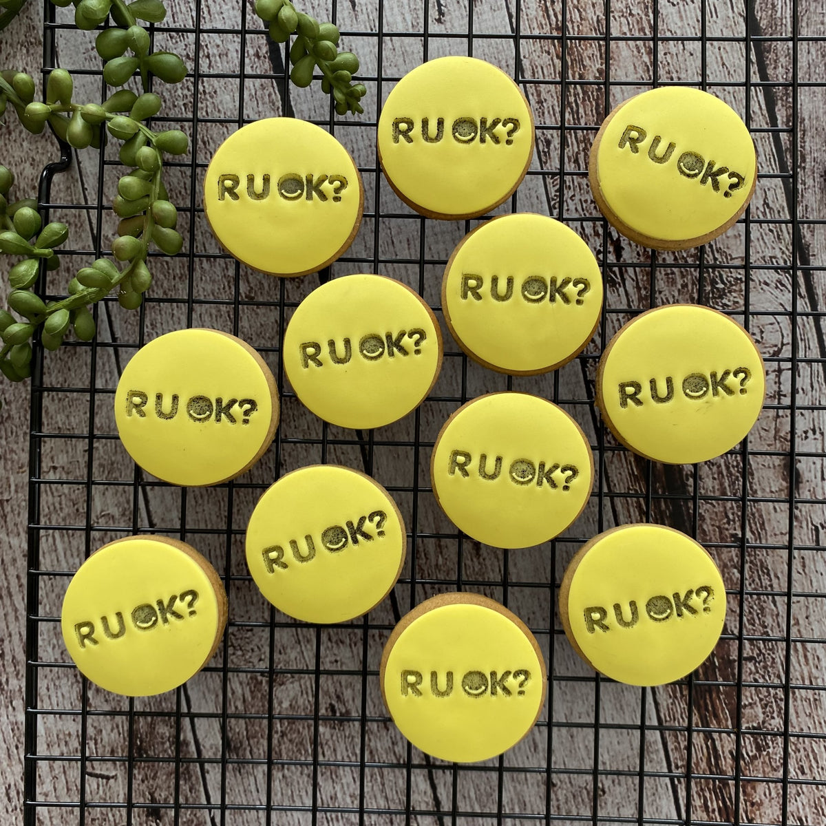 'R U OK?' Cookies - 12 pack – Petite Cookies