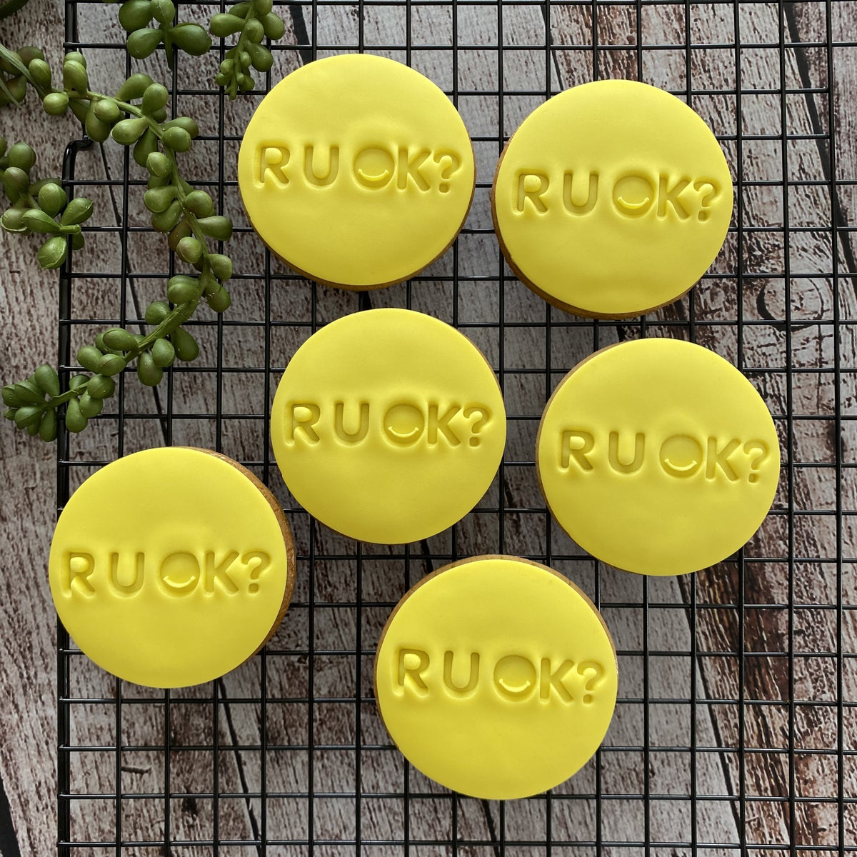 'R U OK?' Cookies – Petite Cookies